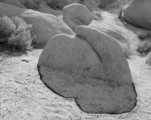 Graham Howe – curator, photo-historian and artist