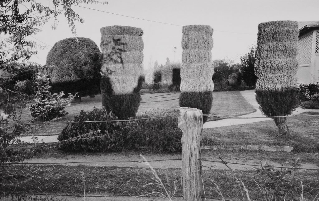 Graham Howe – curator, photo-historian and artist